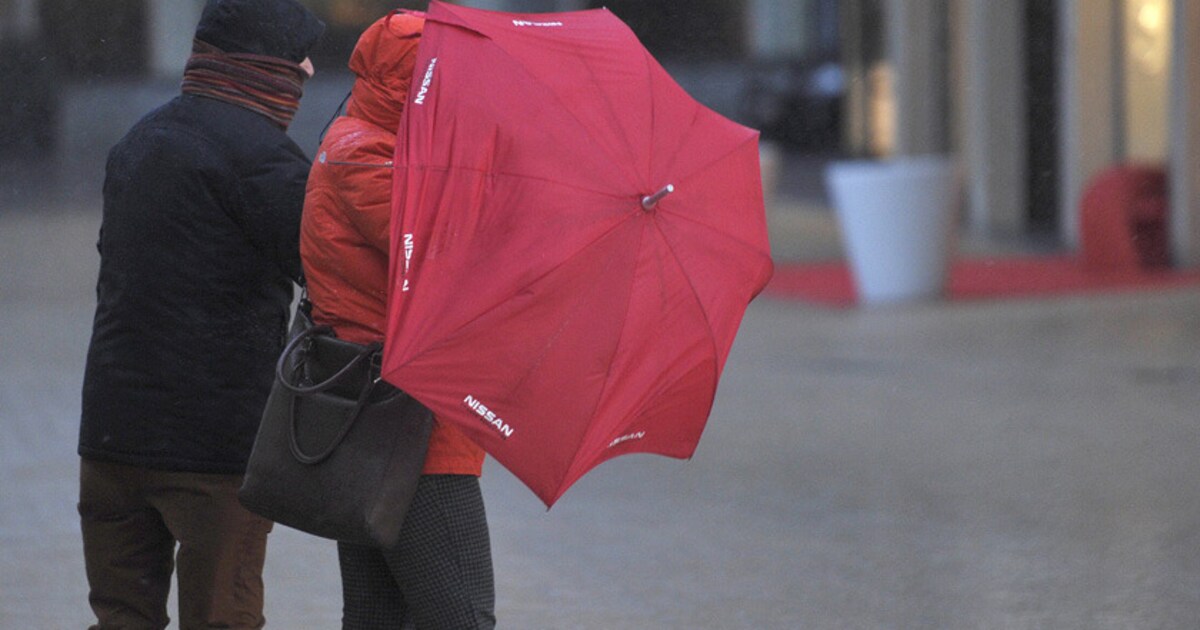 Vandaag wordt regenachtig en winderig | De Morgen
