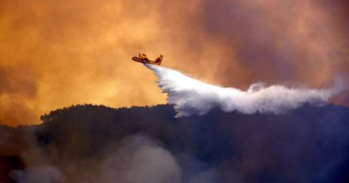Griekenland krijgt hulp bij blussen bosbrand op Rhodos | De Morgen
