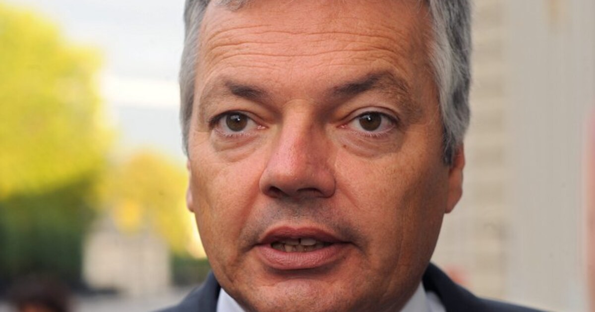 MR herbevestigt Reynders als partijvoorzitter | De Morgen