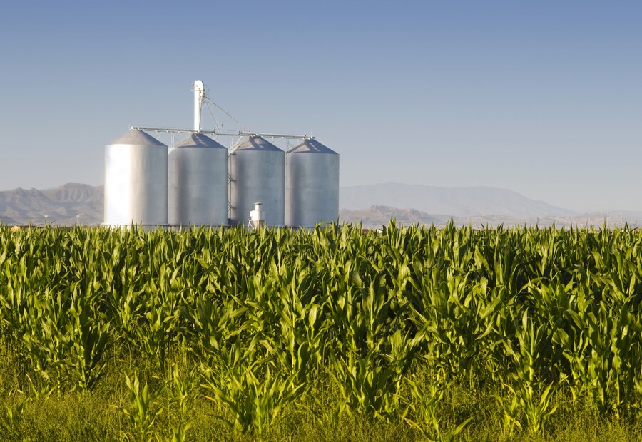 Biobrandstof van maïsafval op korte termijn "schadelijker dan benzine ...