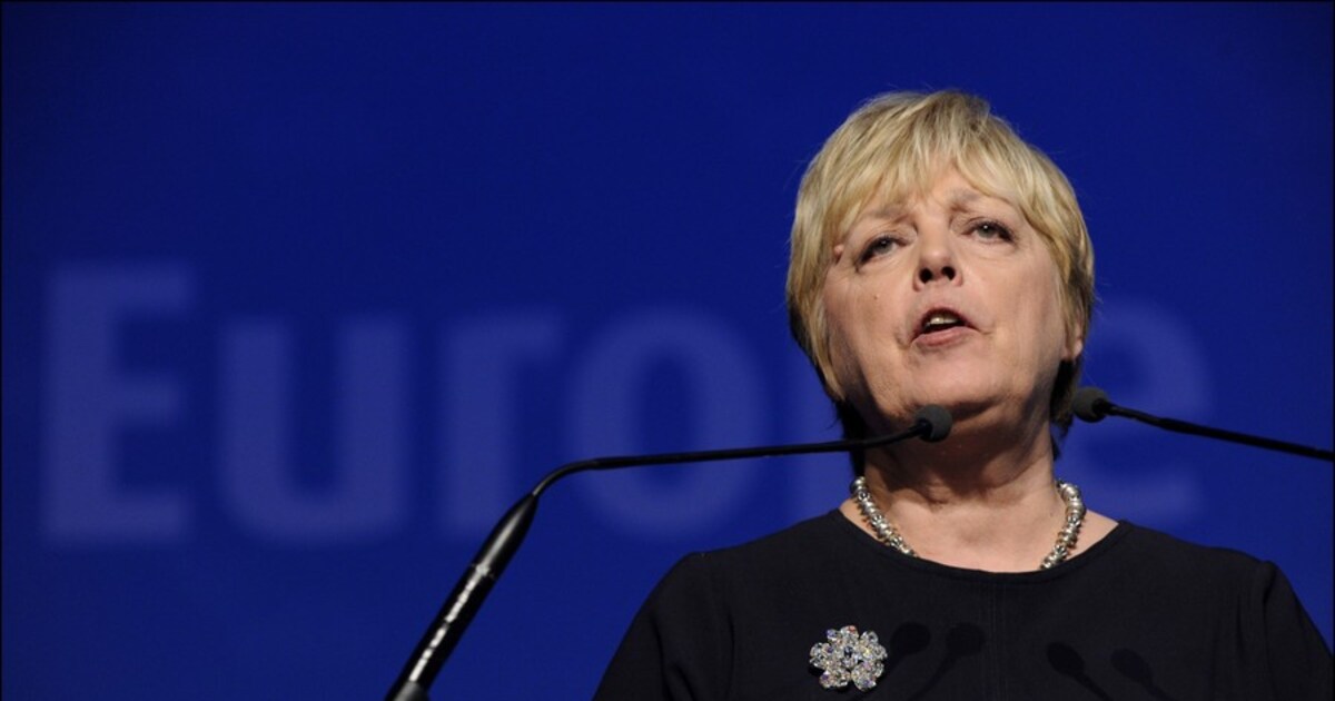 "Open Vld niet in crisis, toch moet een en ander veranderen" | De Morgen