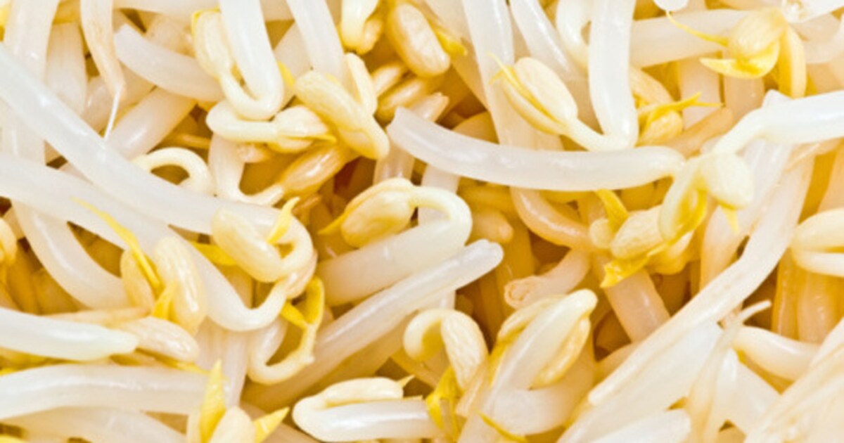 "Sojascheuten kunnen oorzaak EHEC-epidemie zijn" | De Morgen