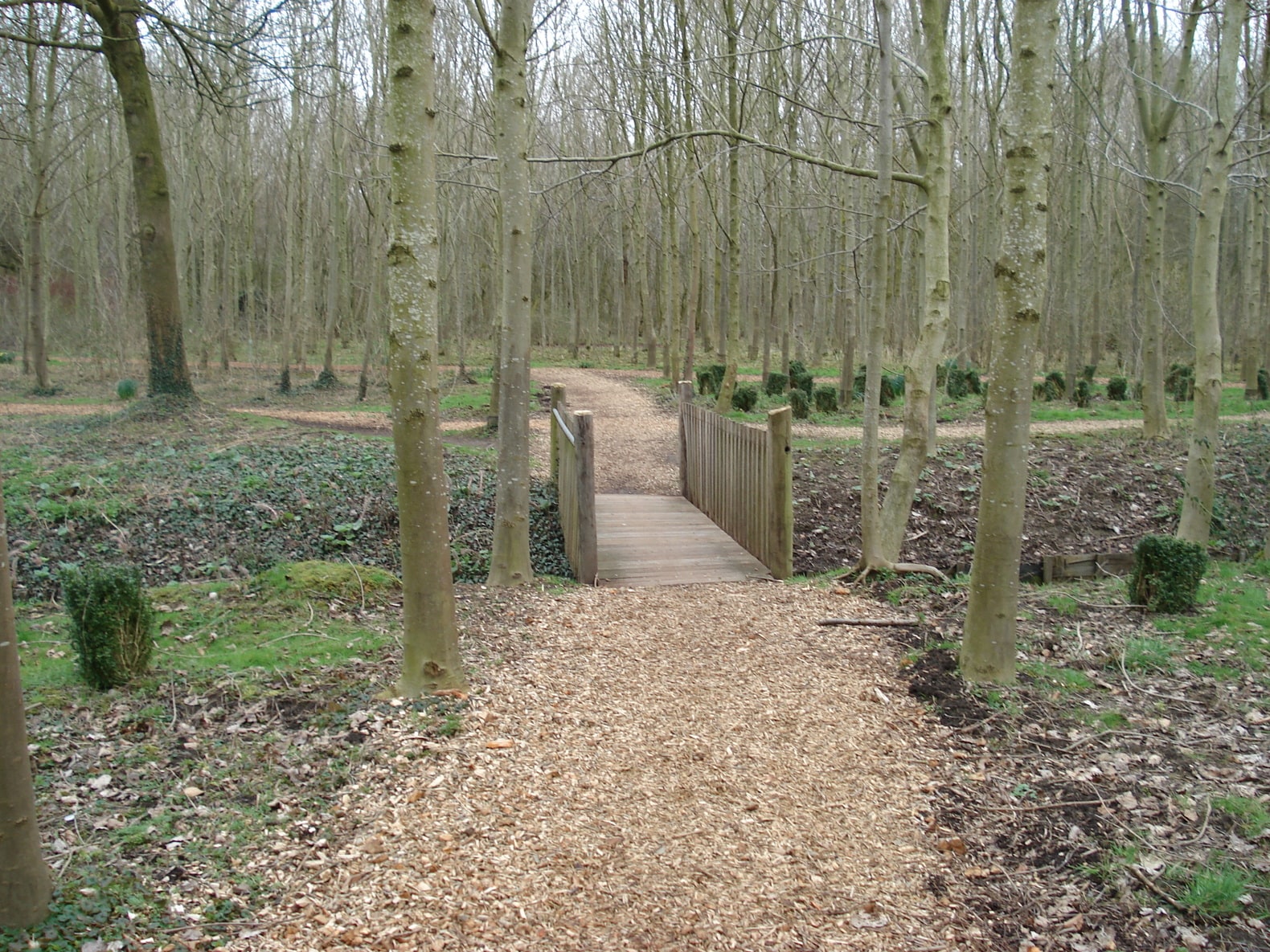 De 20 beste looproutes in Vlaanderen en Brussel | De Morgen