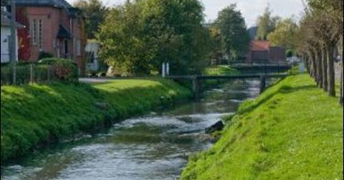 Rivier Jeker verontreinigd, oorzaak wellicht in Wallonië | De Morgen