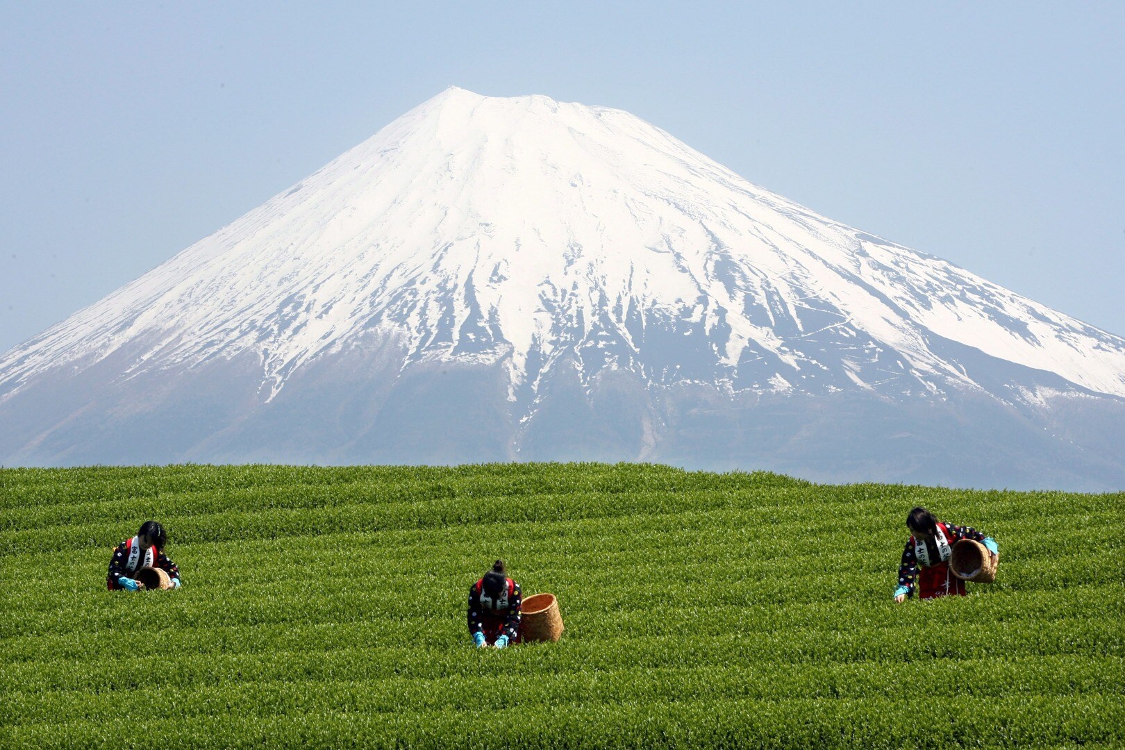 Japanse heilige berg Fuji ligt vol met uitwerpselen | De Morgen
