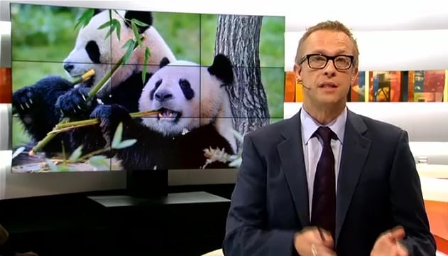 Het beste van Ivan De Vadder in 'De Zevende Dag' | De Morgen