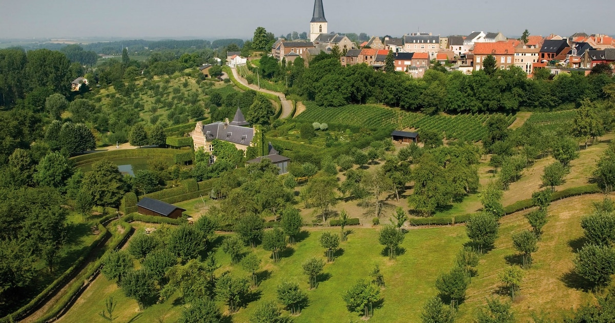Borgloon, Loons stadje met een rijk verleden | De Morgen