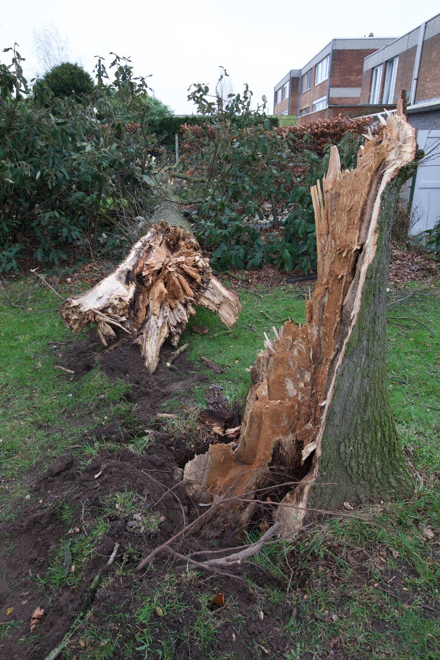 Storm erkend als natuurramp? "Procedure kan jaren duren" | De Morgen