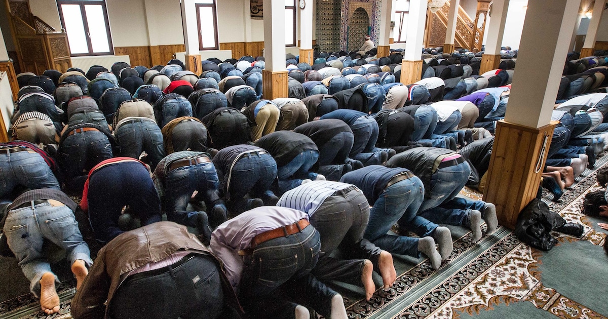 Waarom we het aantal migranten en moslims in België zo overschatten ...