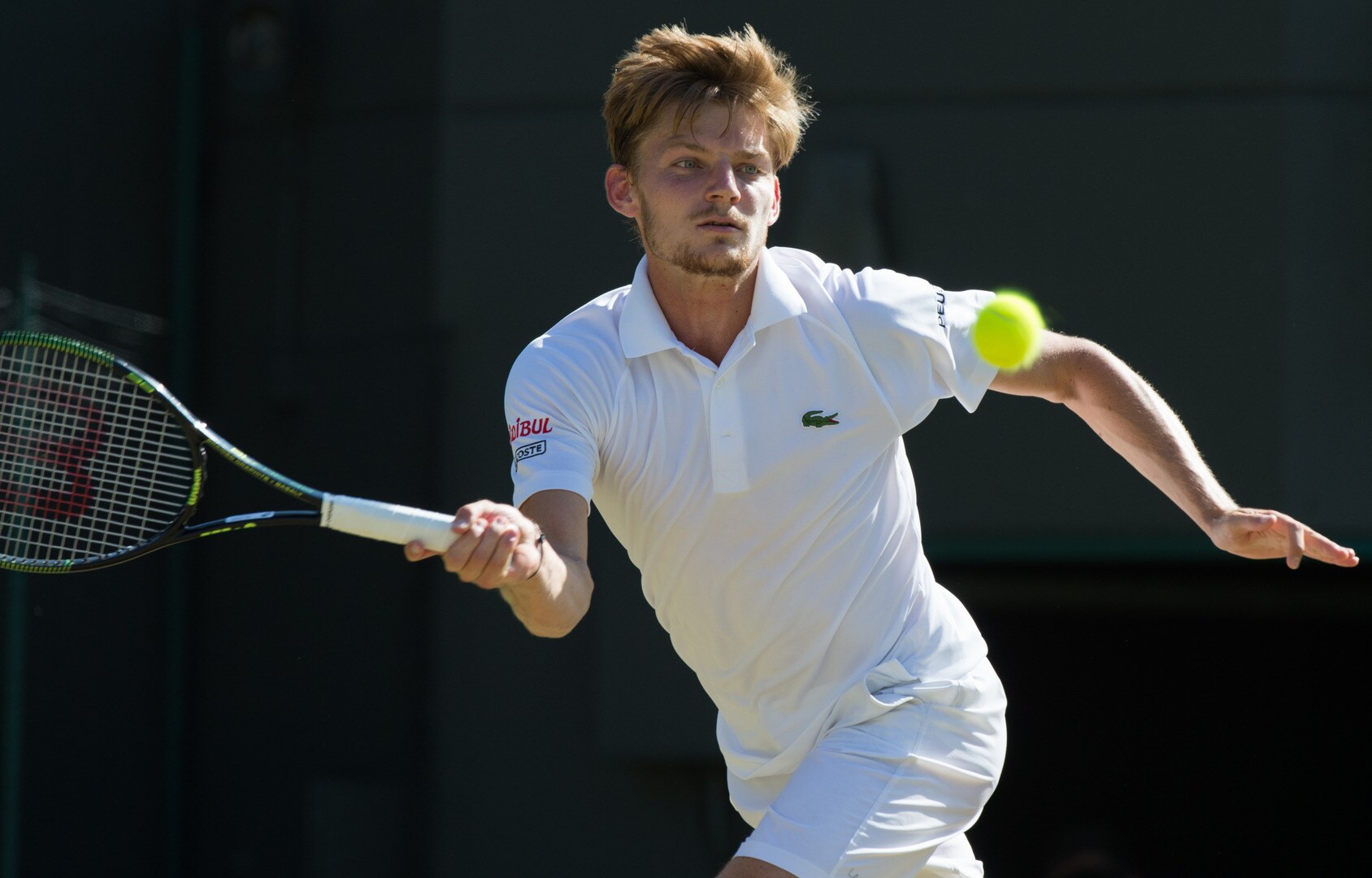 Hoogste klassering ooit voor David Goffin op ATP-ranking | De Morgen