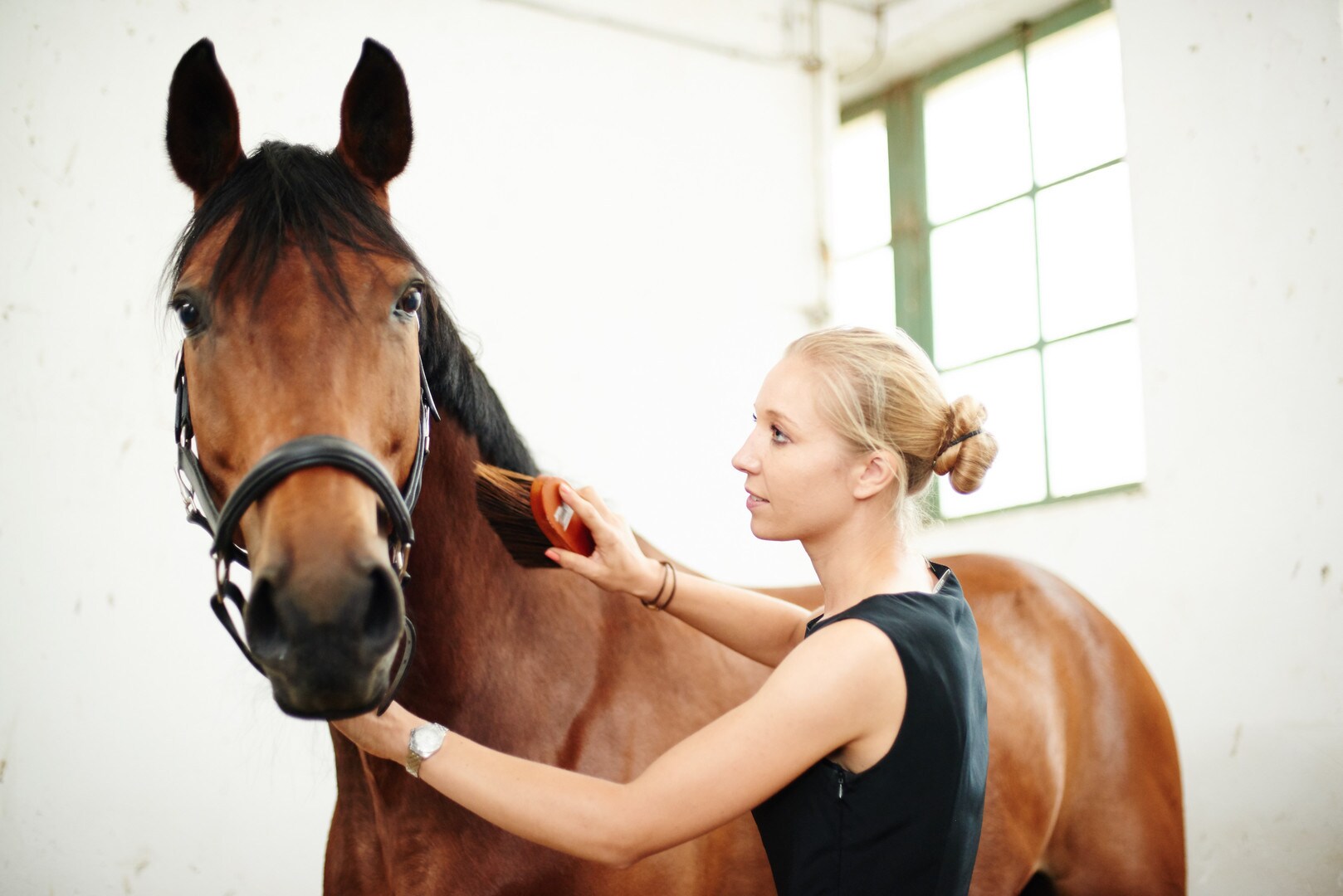 "Durven springen, dat is wat telt" | De Morgen