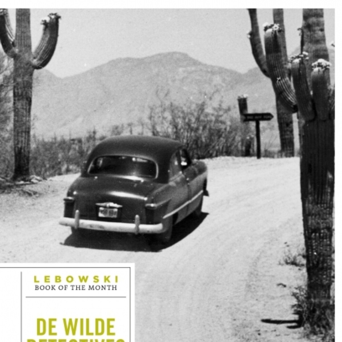 Roberto Bolano Wilde Detectives Roberto Bolaño – Audio Books, Best