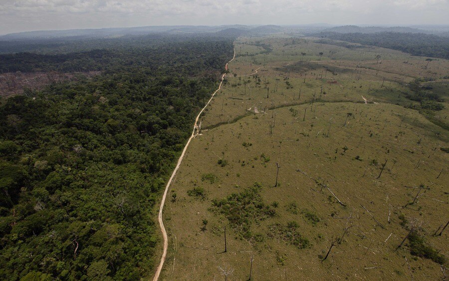 NASA: "Regenwoud takelt af door klimaatverandering" | De Morgen