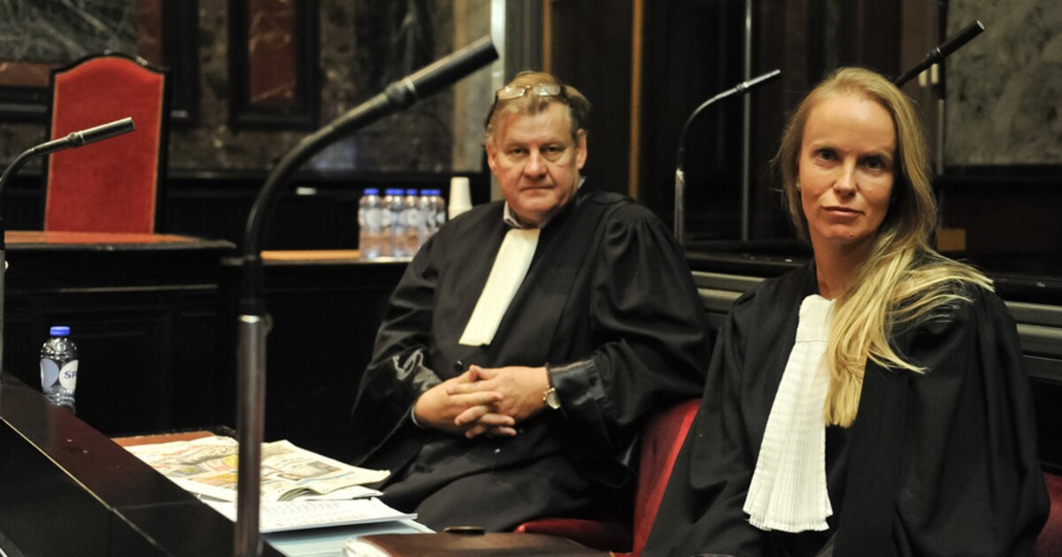 Borremans veroordeeld tot celstraf van vijf jaar | De Morgen