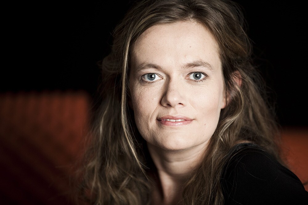 Wat u kunt leren van een tijgertemster | De Morgen