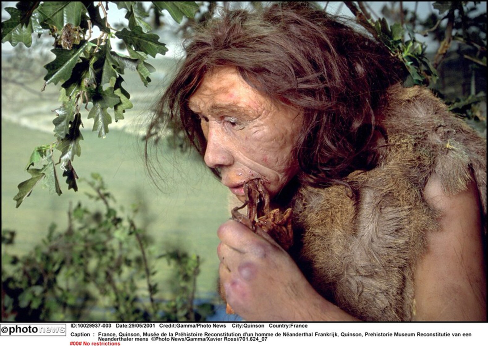 "Neanderthalers maakten op slimme wijze vuur" | De Morgen