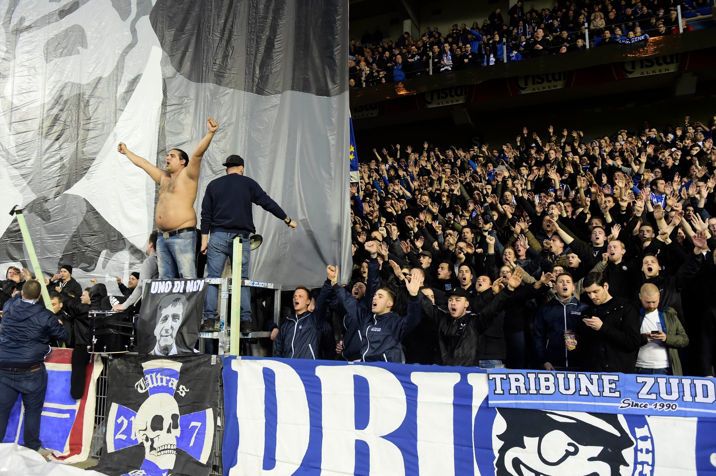 Genkfans ontvouwen prachtige tifo Tony Greco | De Morgen