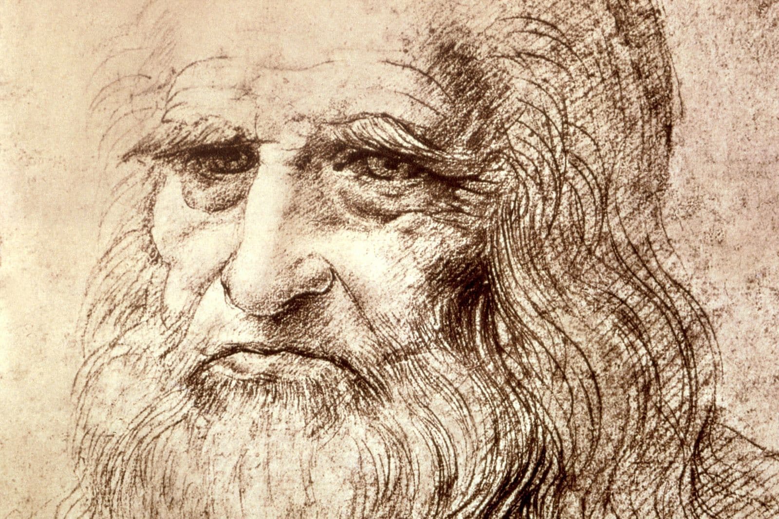 Experts vinden 35 nog levende nakomelingen van Leonardo Da Vinci | De ...