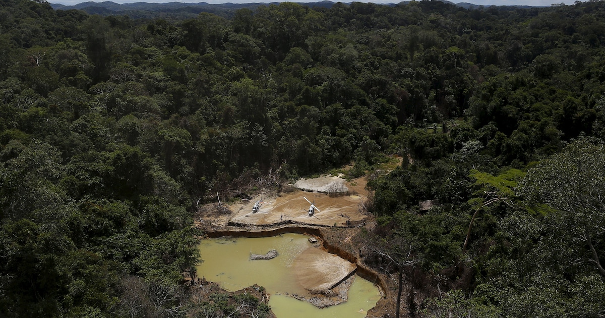 Gevaarlijke kwikvervuiling door goudmijnen in Amazone | De Morgen
