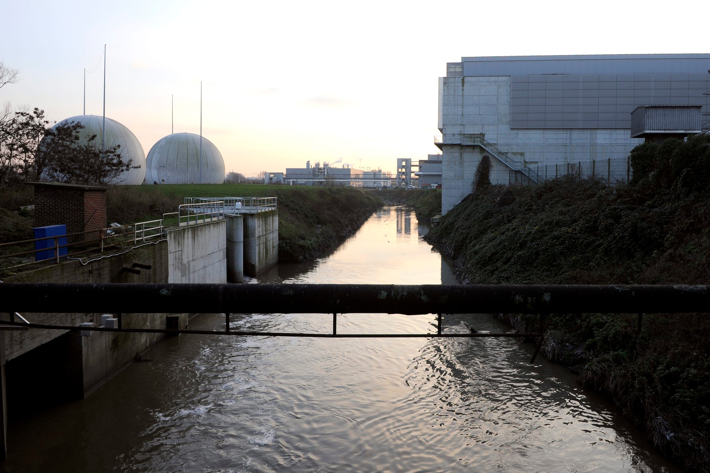Bacterie in Zenne breekt chemische vervuiling af | De Morgen