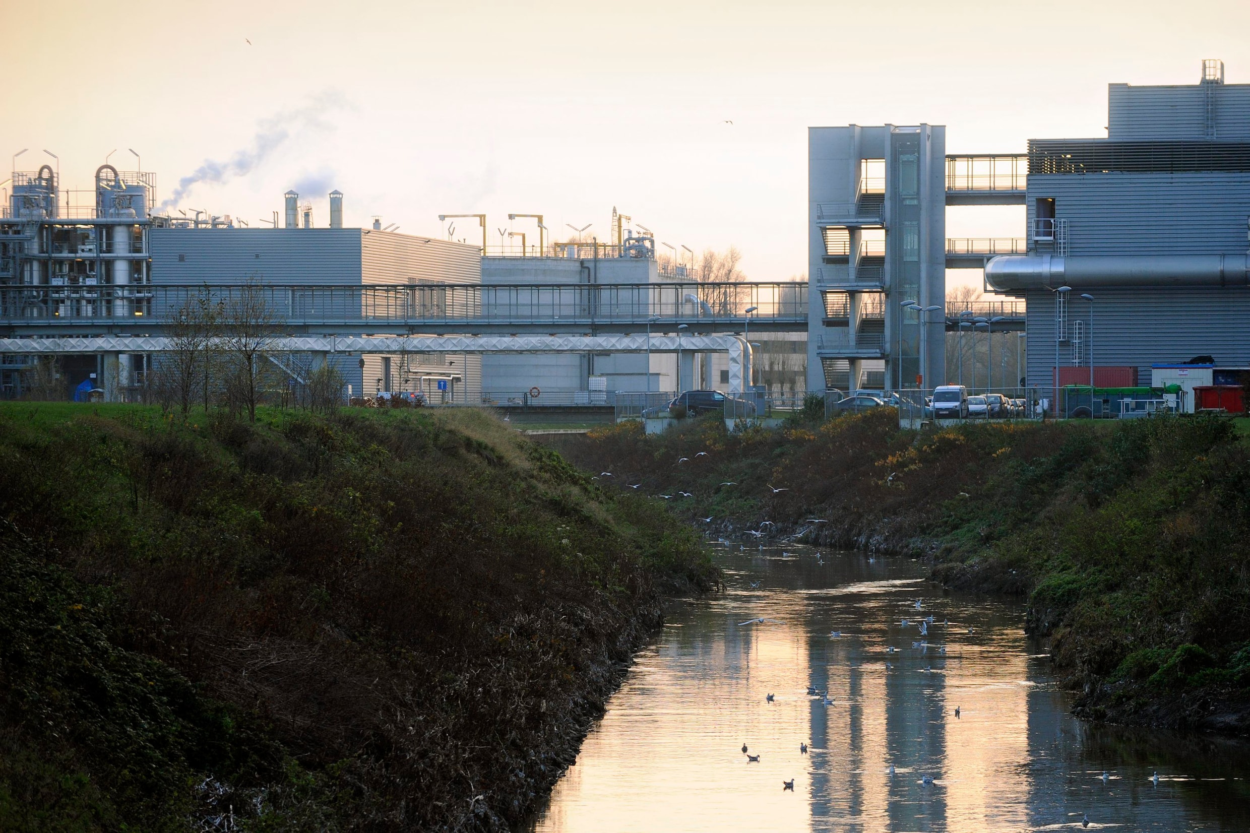Ook Schelde in Antwerpen vervuild door Brussels afvalwater | De Morgen