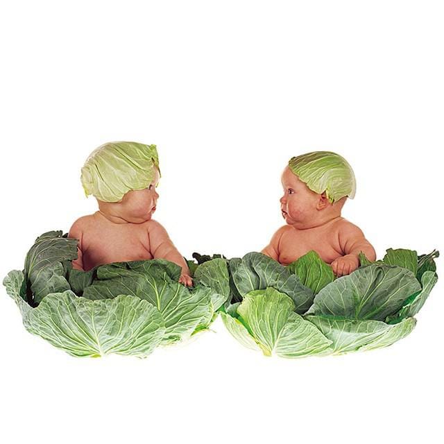 Dit zijn de beroemde baby's van Anne Geddes 20 jaar later | De Morgen