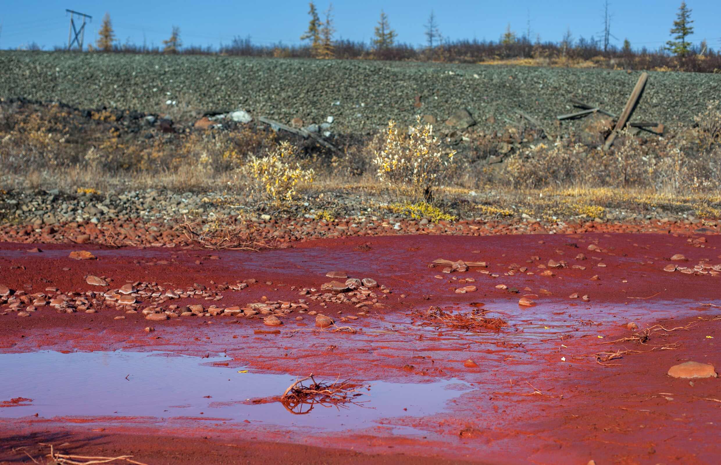 Russische rivier kleurt bloedrood | De Morgen