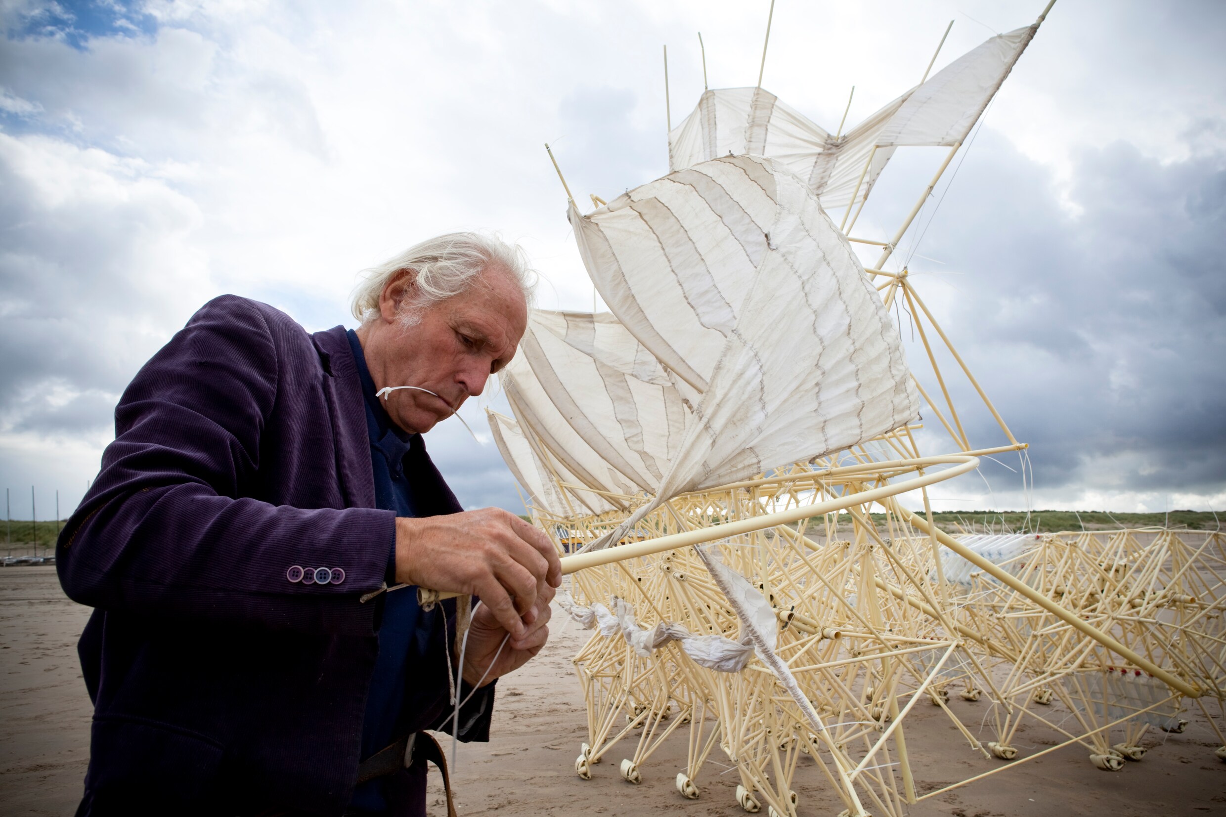 Magische strandbeesten: wanneer pvc tot leven komt | De Morgen