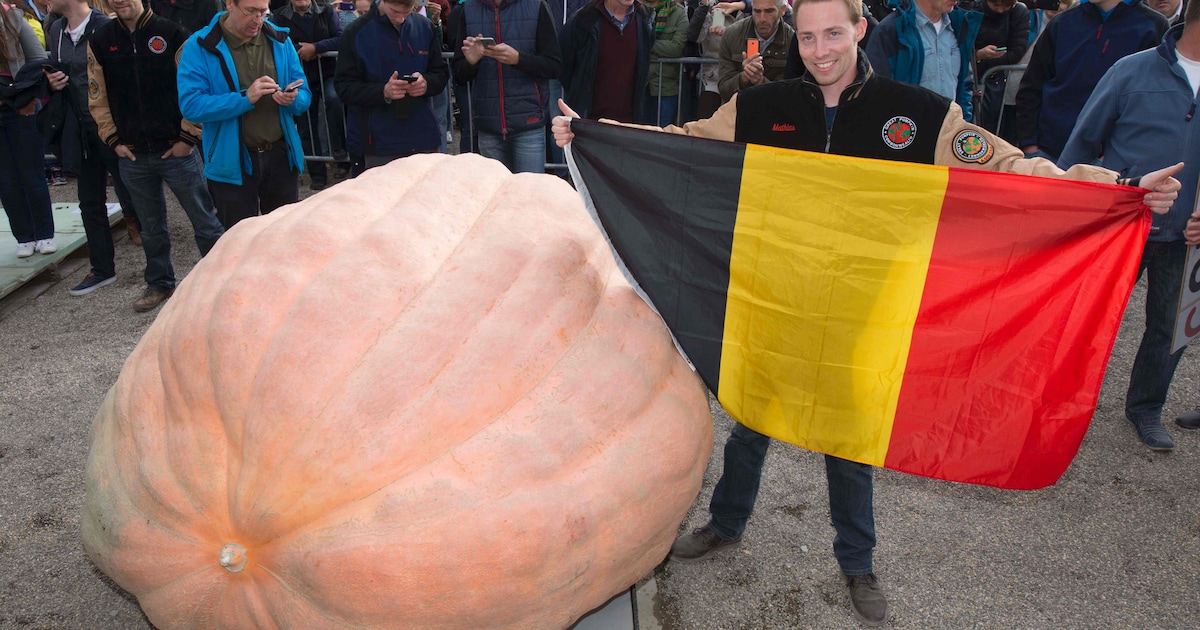 De grootste pompoen ter wereld? Die is van een Belg | De Morgen