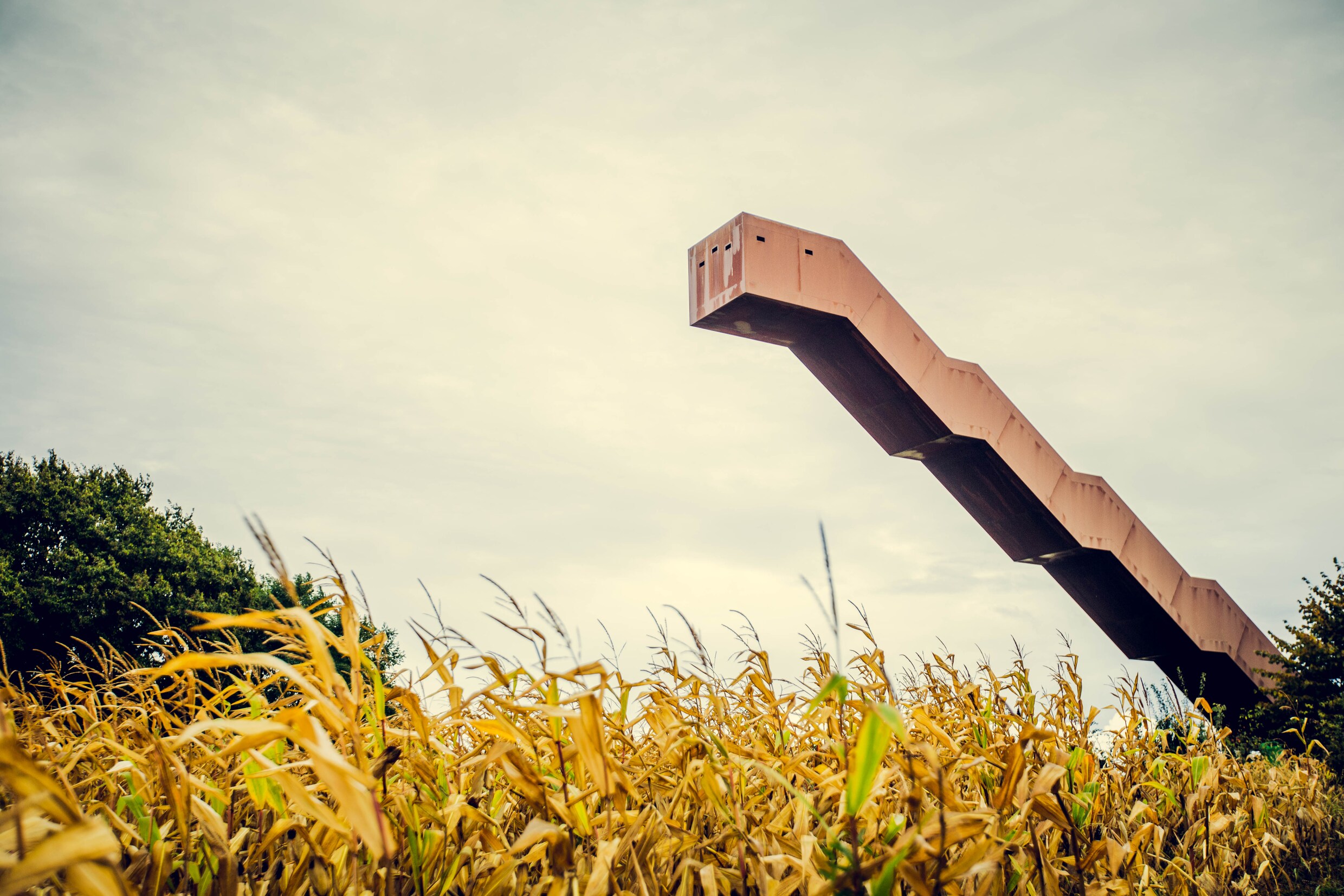 De meest gehypete fallus van Vlaanderen | De Morgen