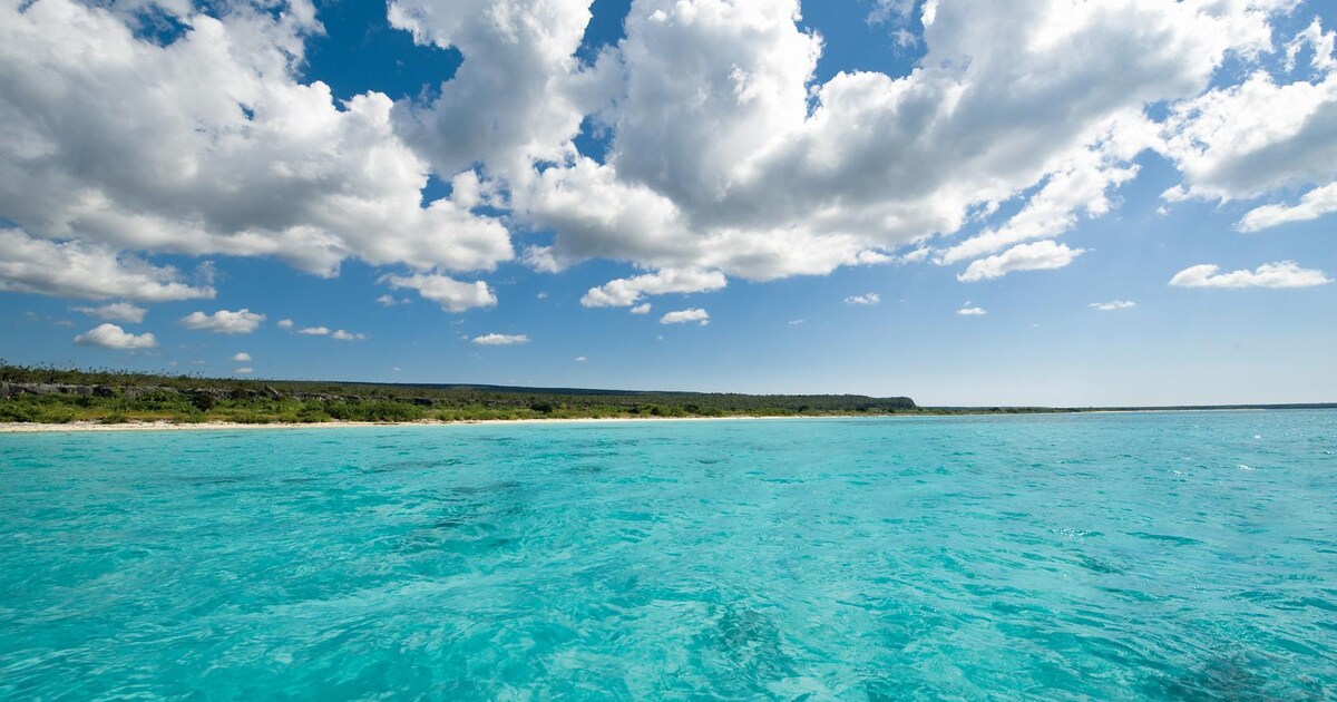 100% Caraïben - de Dominicaanse Republiek prikkelt al je zintuigen | De ...