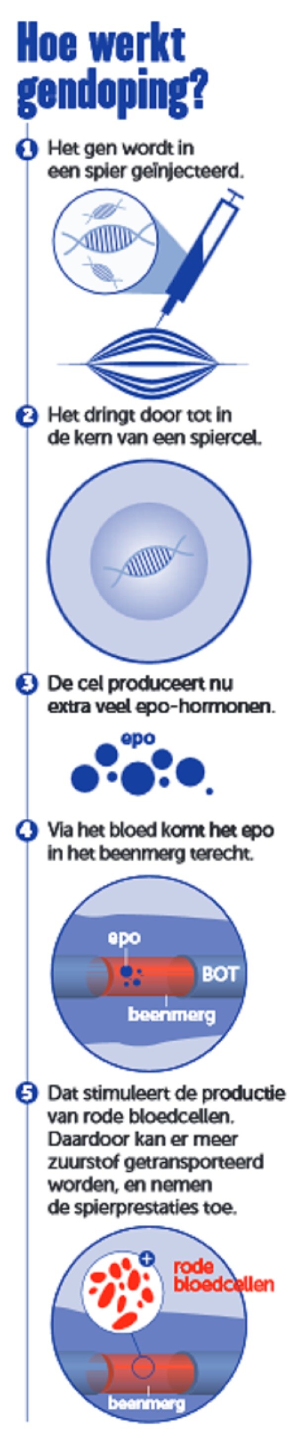 Met gendoping wordt je lijf een epofabriek | De Morgen