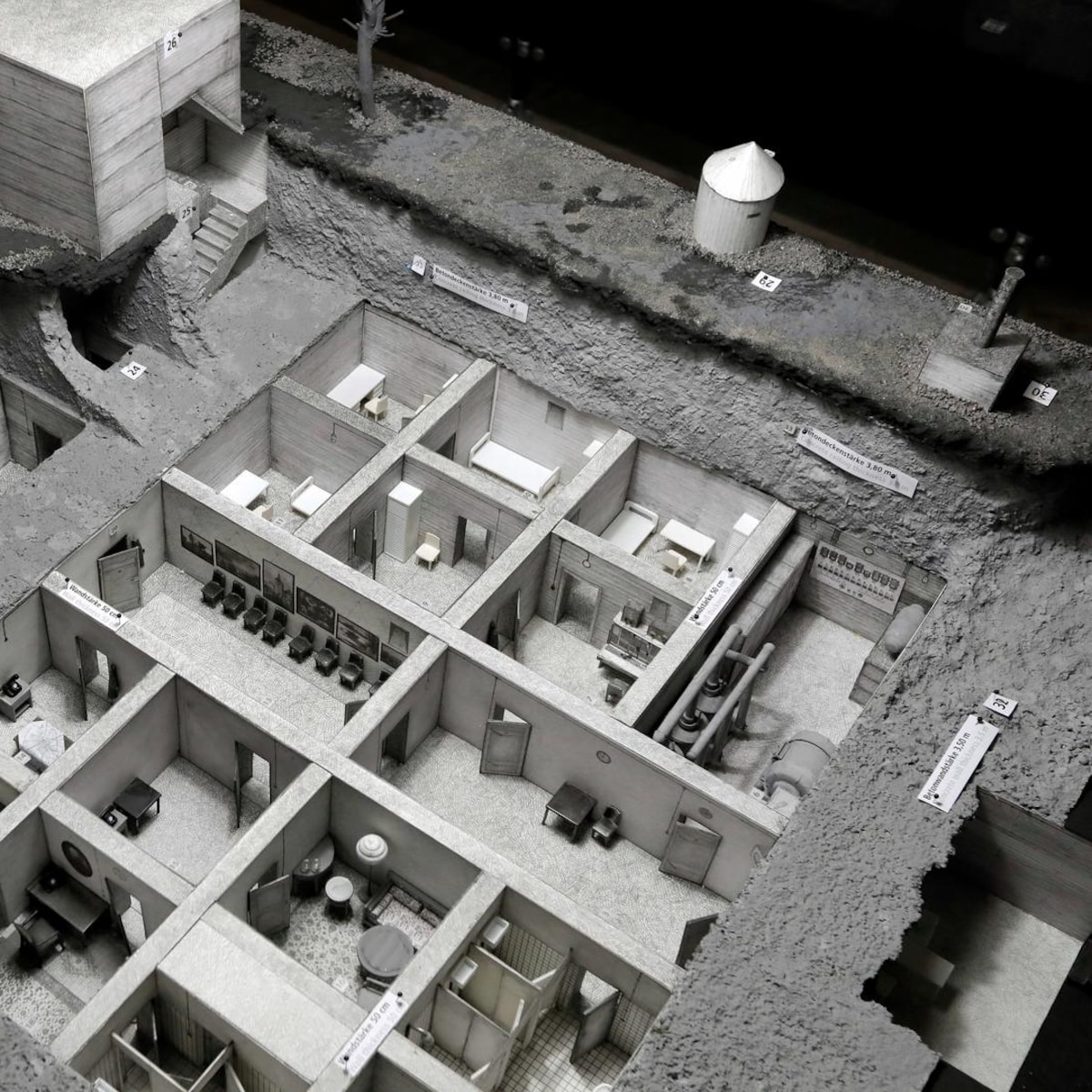 Bunker De Hitler Agora A última Confissão De Hitler: Disse Ao Piloto