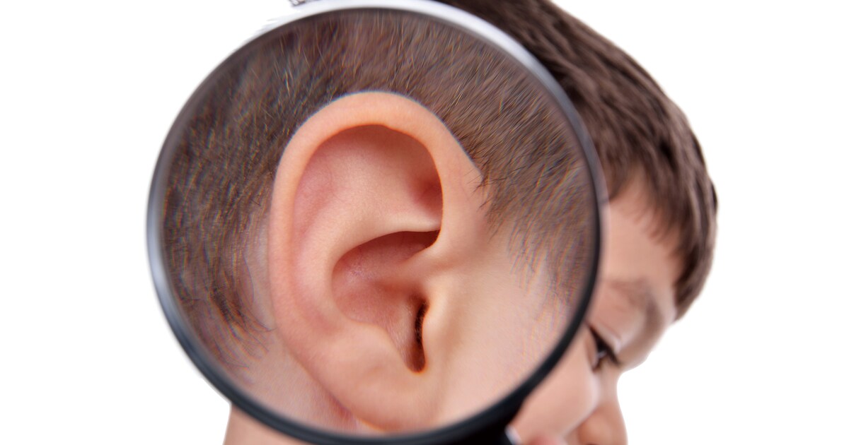 Flaporen voortaan verdwenen in 15 minuten | De Morgen