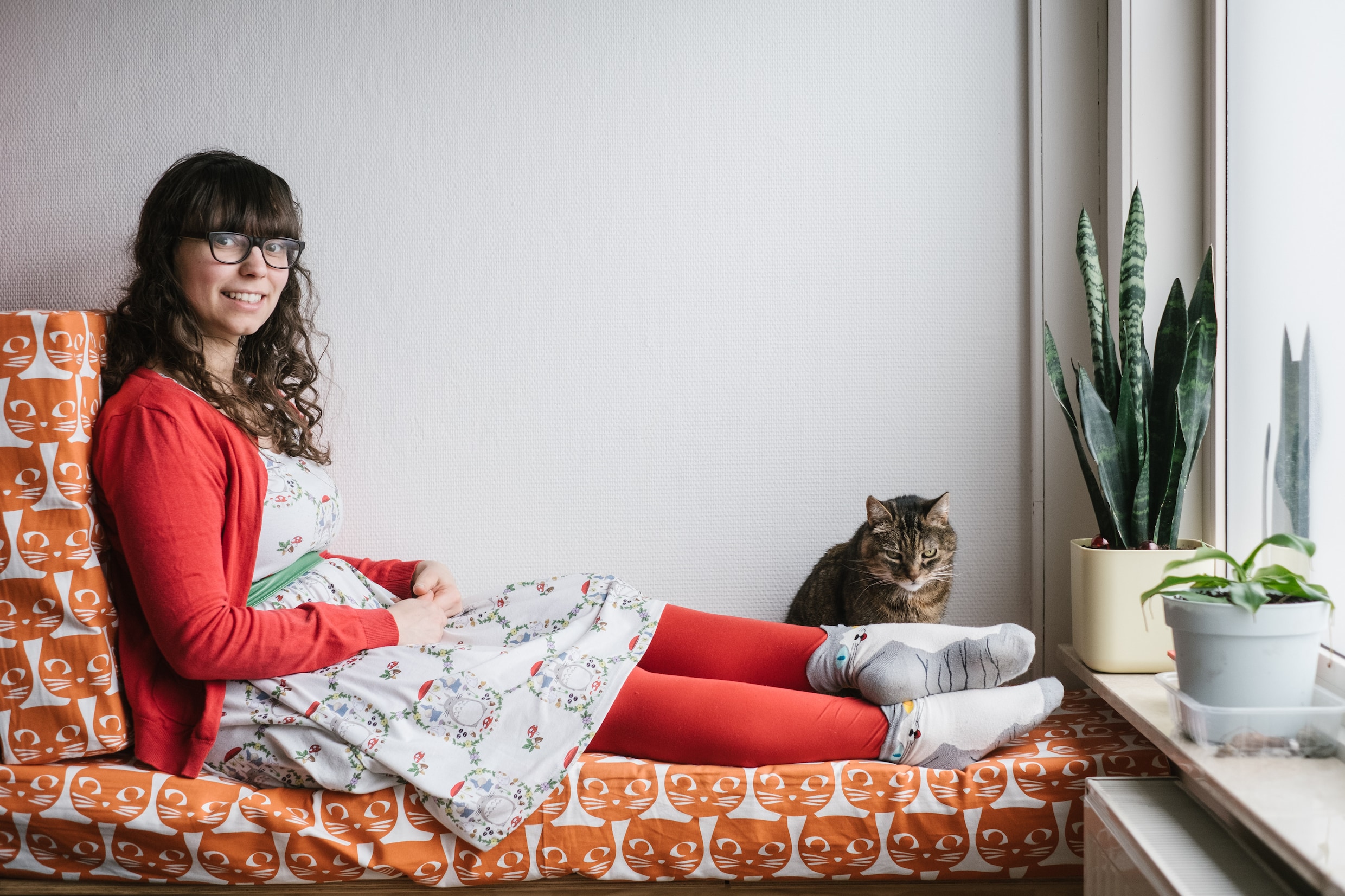 Een kattenfilm om (niet) mee te lachen | De Morgen